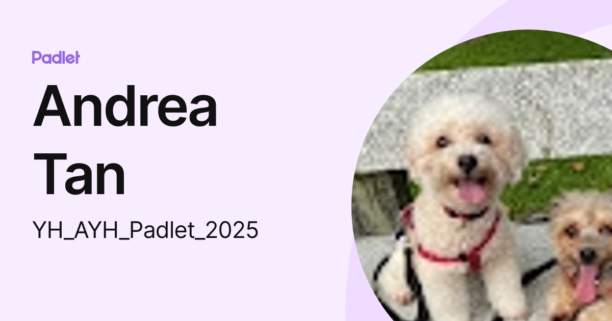 Andrea Tan (tan_meng_hui) profile | Padlet