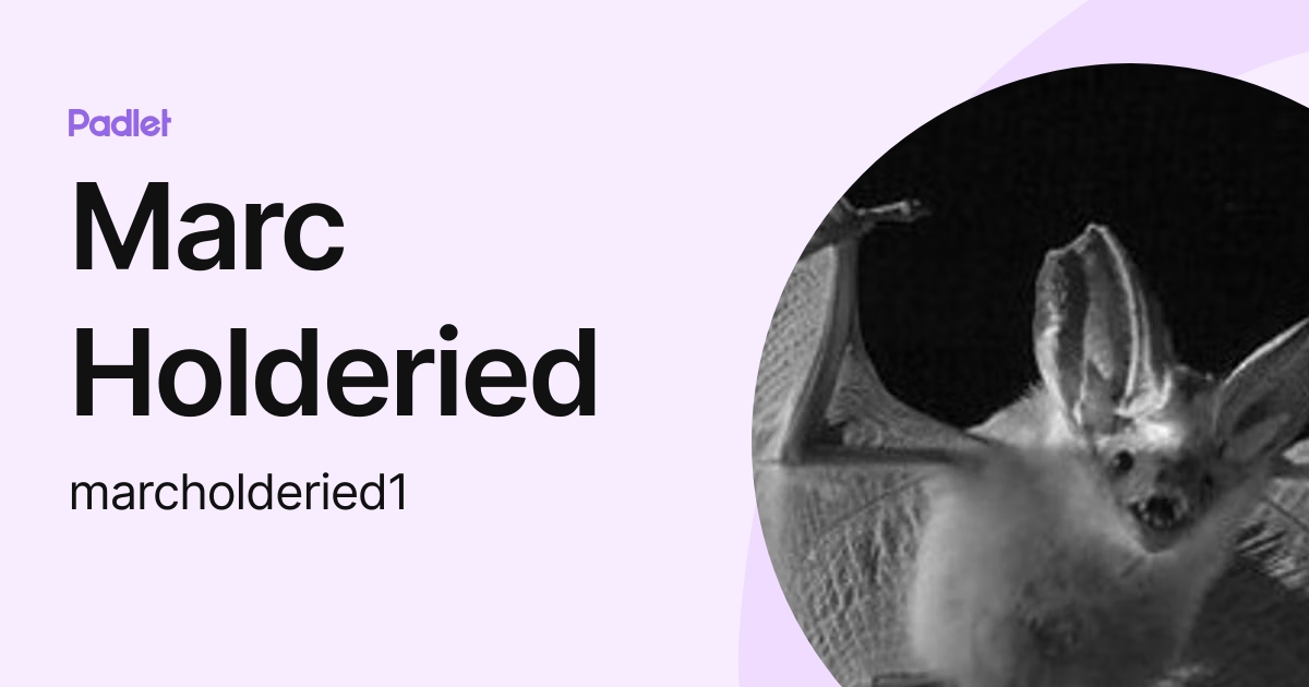 Marc Holderied (marcholderied) profile | Padlet