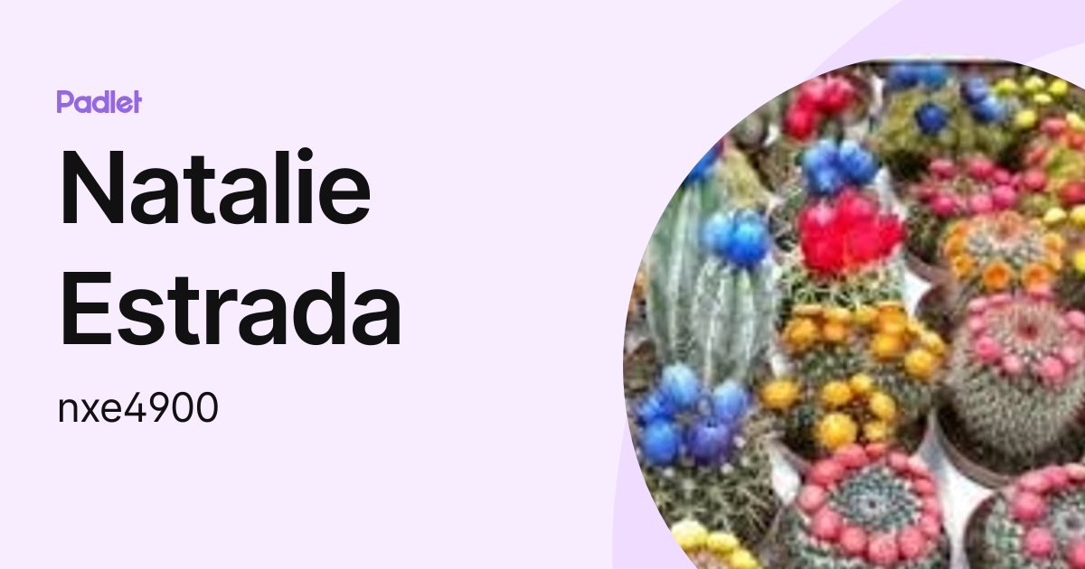 Natalie Estrada (nxe4900) profile | Padlet