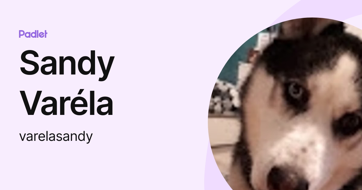 Sandy Varéla (varelasandy) profile | Padlet
