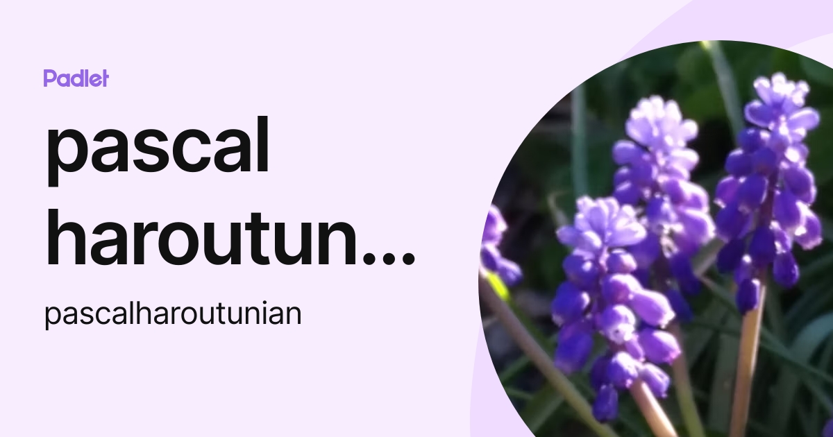 pascal haroutunian (pascalharoutunian) profile | Padlet