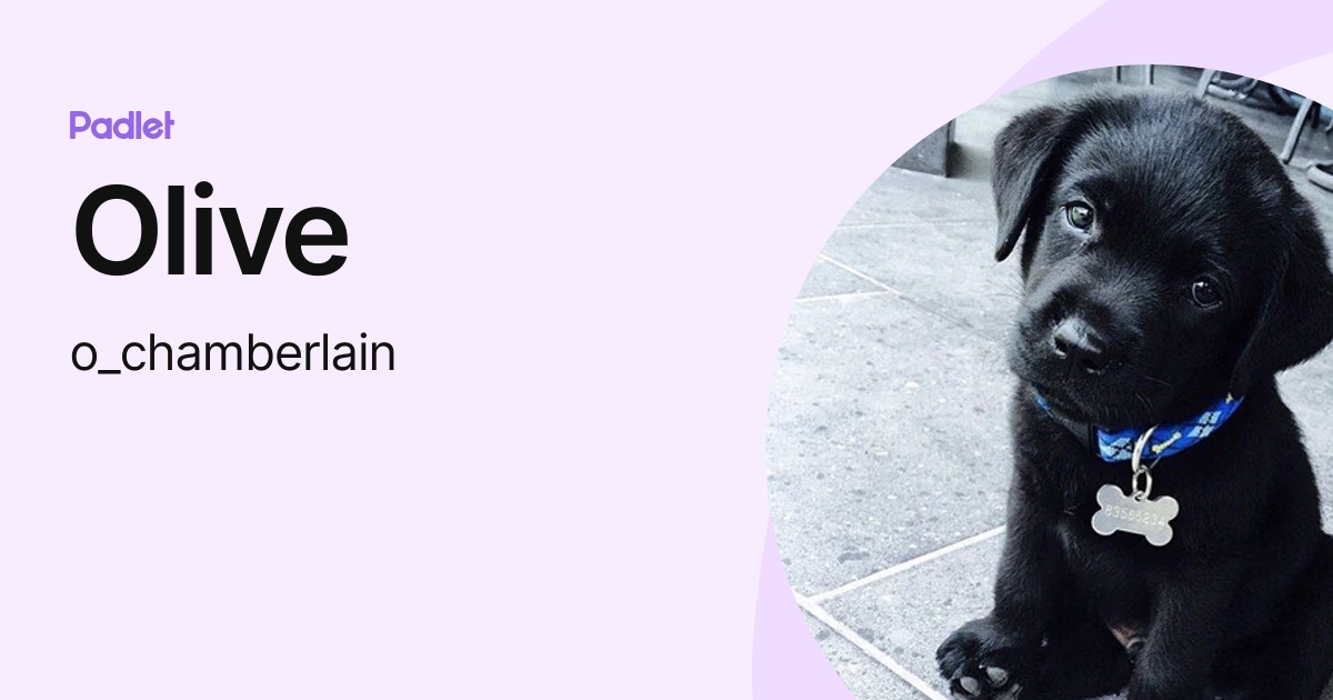 Olive (o_chamberlain) profile | Padlet