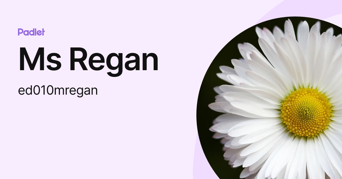 Ms Regan (ed010mregan) profile | Padlet