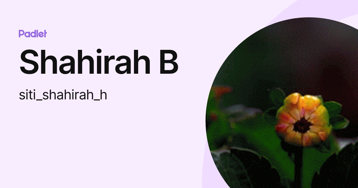 Shahirah B (siti_shahirah_h) profile | Padlet