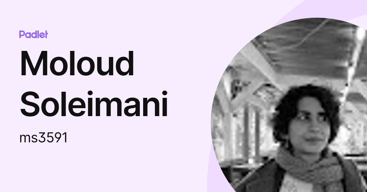 Moloud Soleimani (ms3591) profile | Padlet