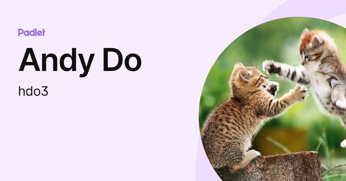 Andy Do (hdo3) profile | Padlet