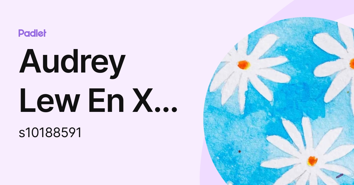 Audrey Lew En Xi /FSV (s10188591) profile | Padlet