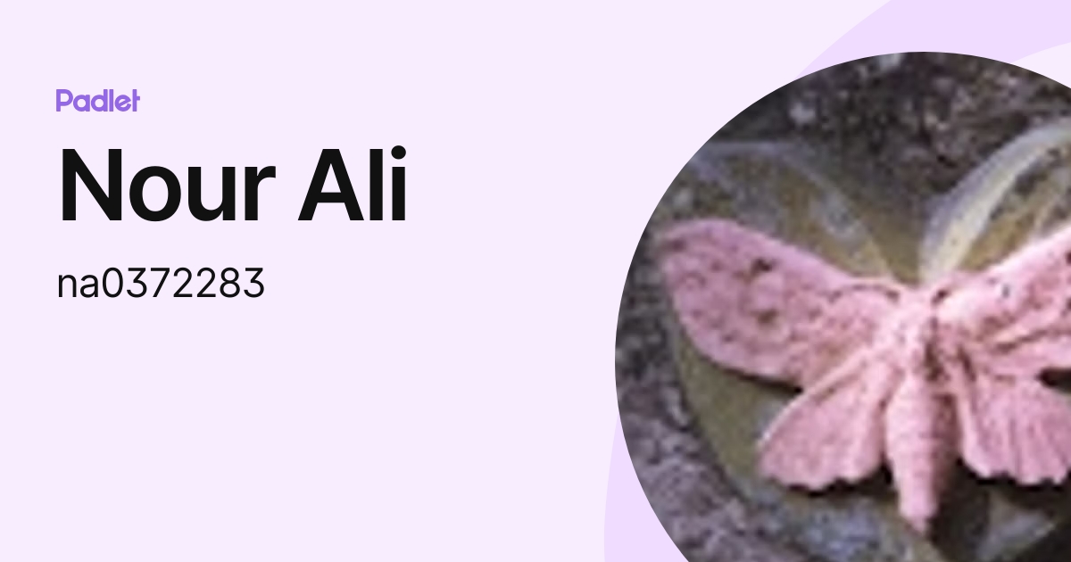 Nour Ali (na0372283) profile | Padlet
