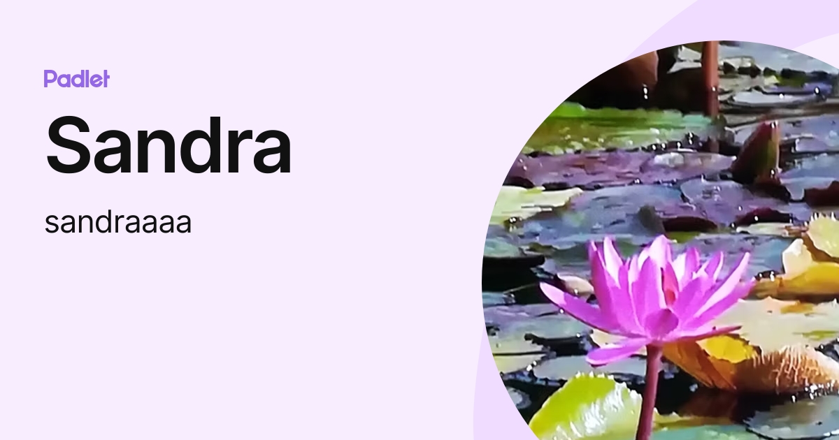 Sandra Sandraaaa Profile Padlet