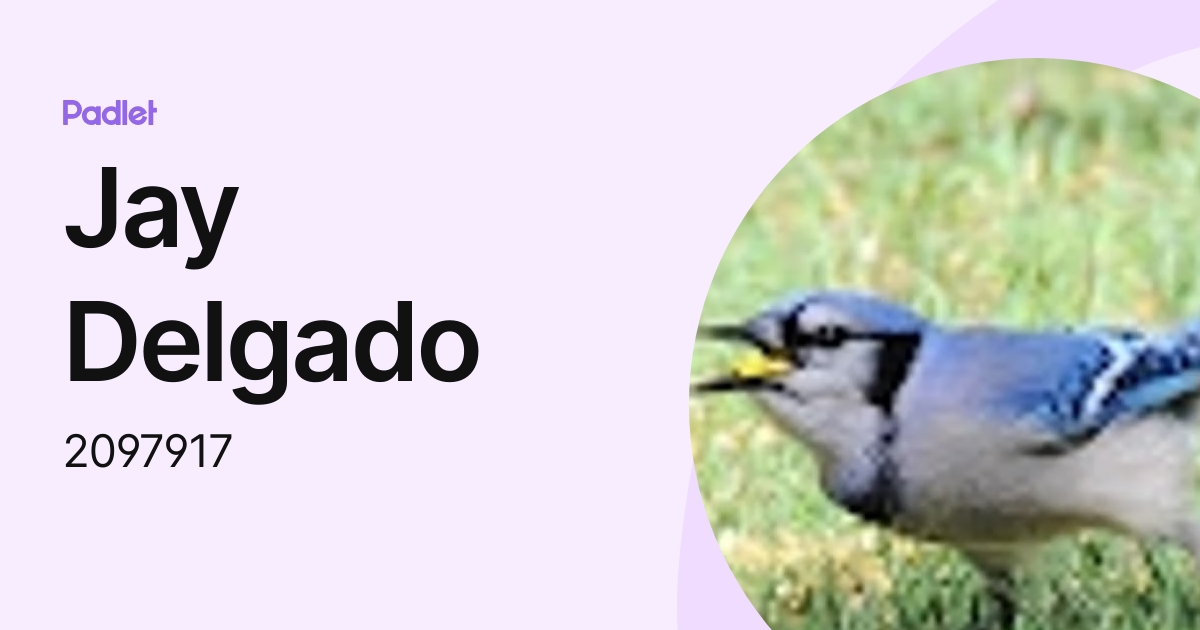 Jay Delgado (2097917) profile | Padlet
