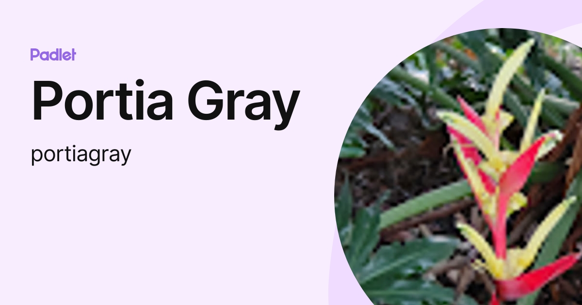 Portia Gray (portiagray) profile | Padlet