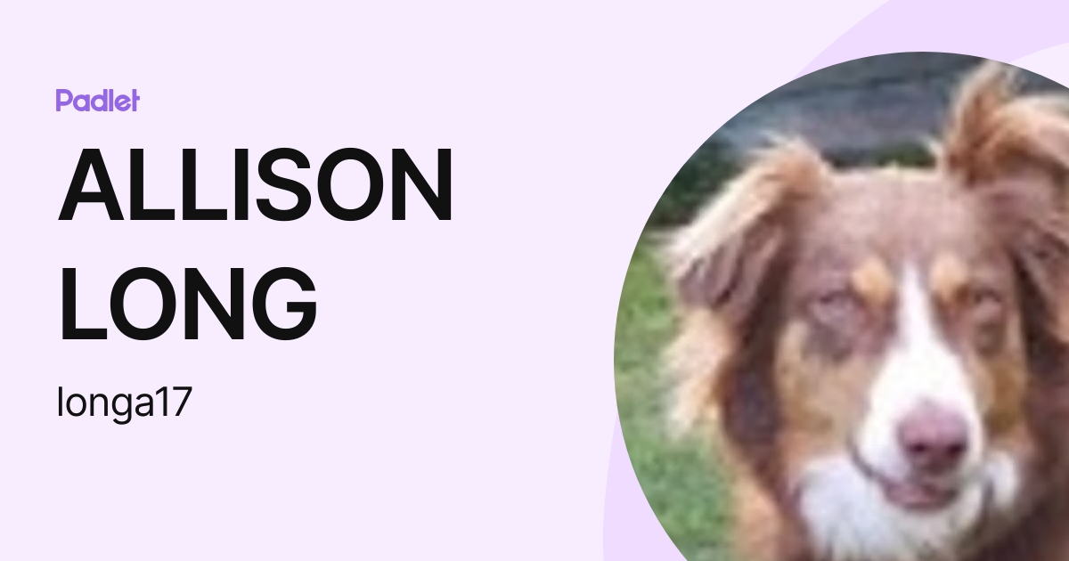 ALLISON LONG (longa17) profile | Padlet