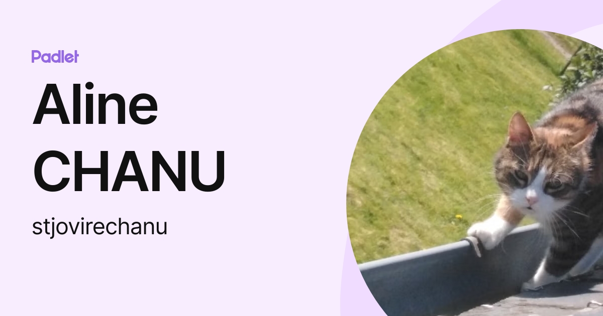Profil de Aline CHANU (stjovirechanu) | Padlet