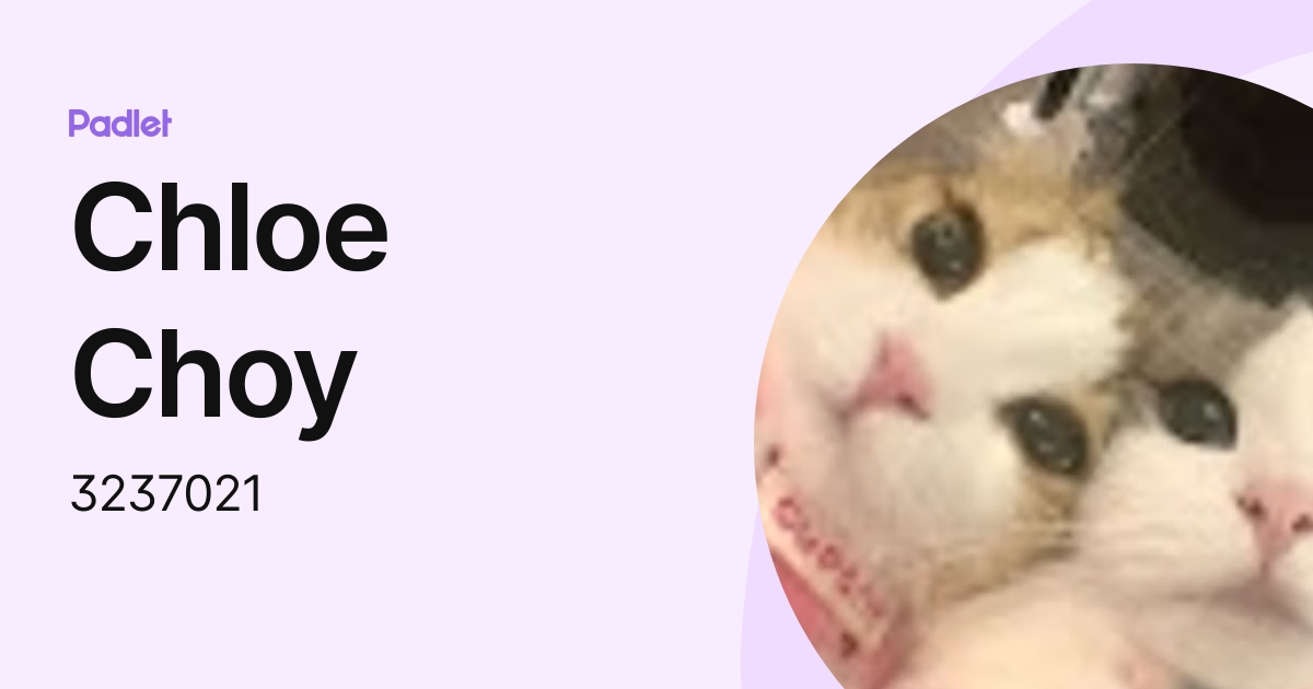Chloe Choy (3237021) profile | Padlet