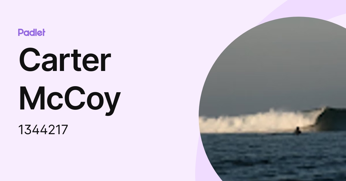 Carter McCoy (1344217) profile | Padlet
