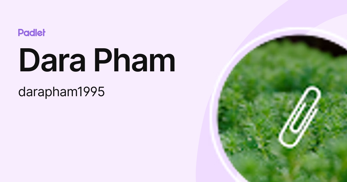 Dara Pham (darapham1995) profile | Padlet