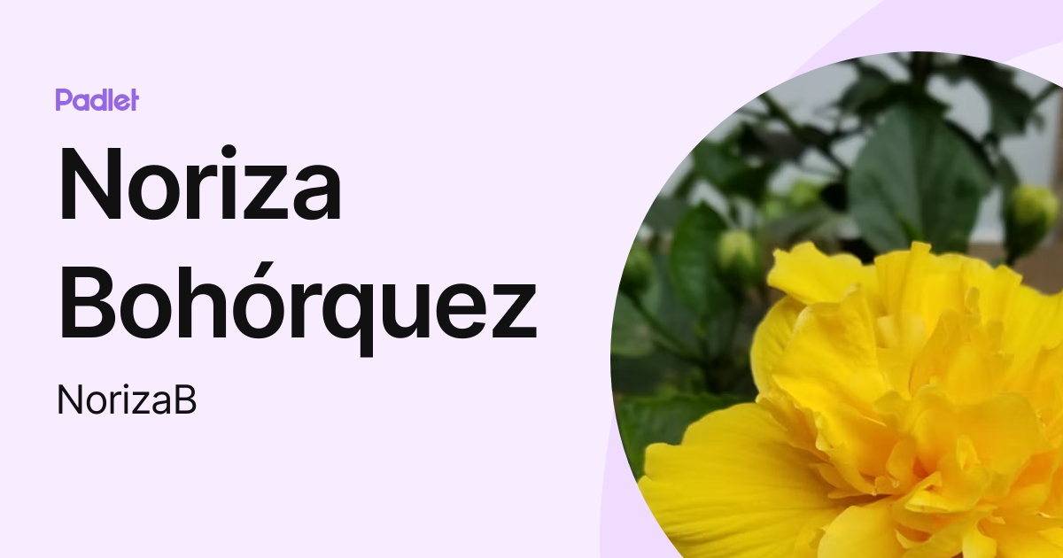 Noriza Bohórquez (NorizaB) profile | Padlet