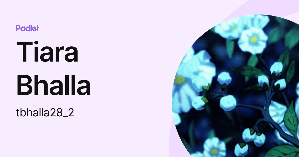 Tiara Bhalla (tb285) profile | Padlet