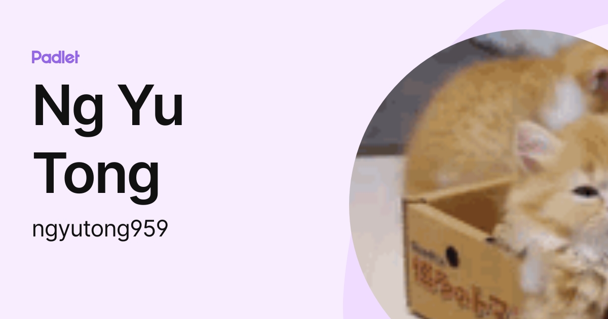 Ng Yu Tong (ngyutong959) profile | Padlet