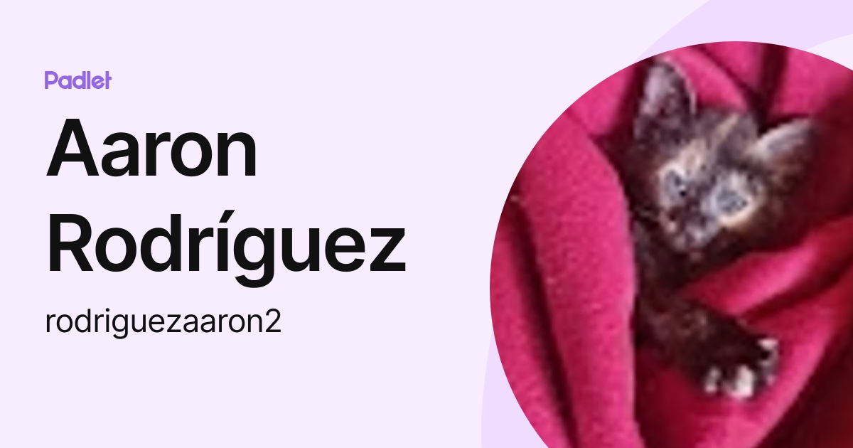 Aaron Rodríguez (rodriguezaaron2) profile | Padlet