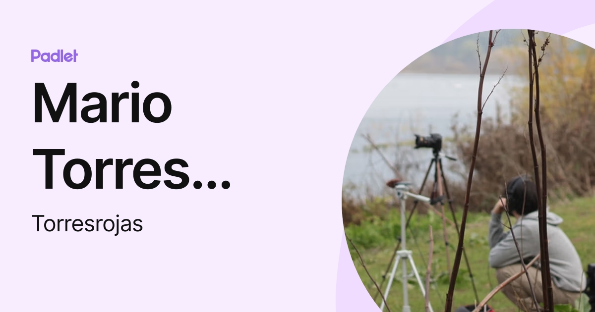 Mario Torres Rojas (Torresrojas) perfil | Padlet