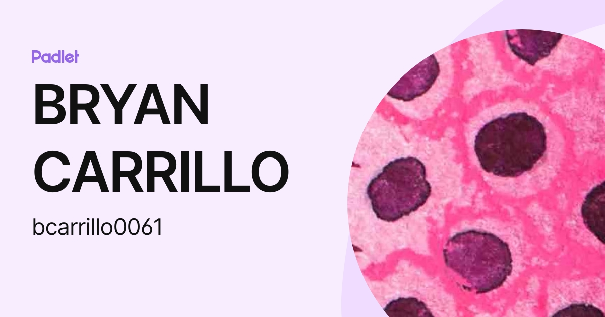 BRYAN CARRILLO (bcarrillo0061) profile | Padlet
