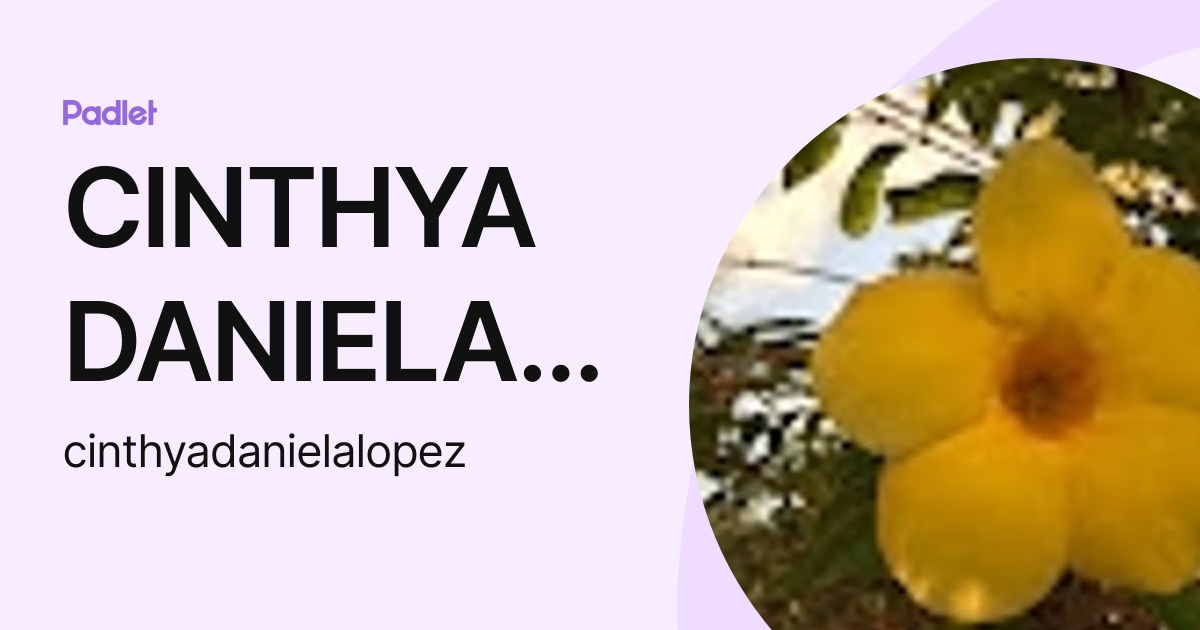 CINTHYA DANIELA LOPEZ DELGADO (cinthyadanielalopez) profile | Padlet