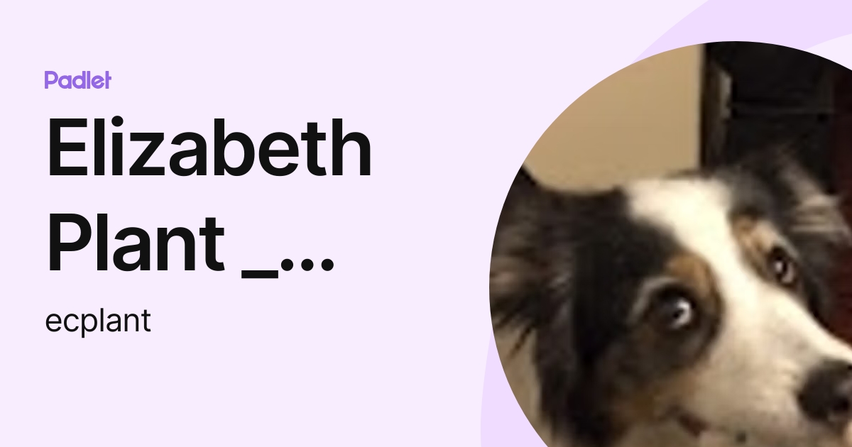 Elizabeth Plant _ Student - MillsParkMS (ecplant) profile | Padlet