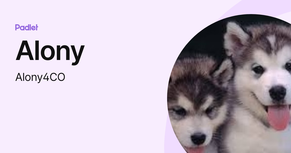 Alony (Alony4CO) profile | Padlet