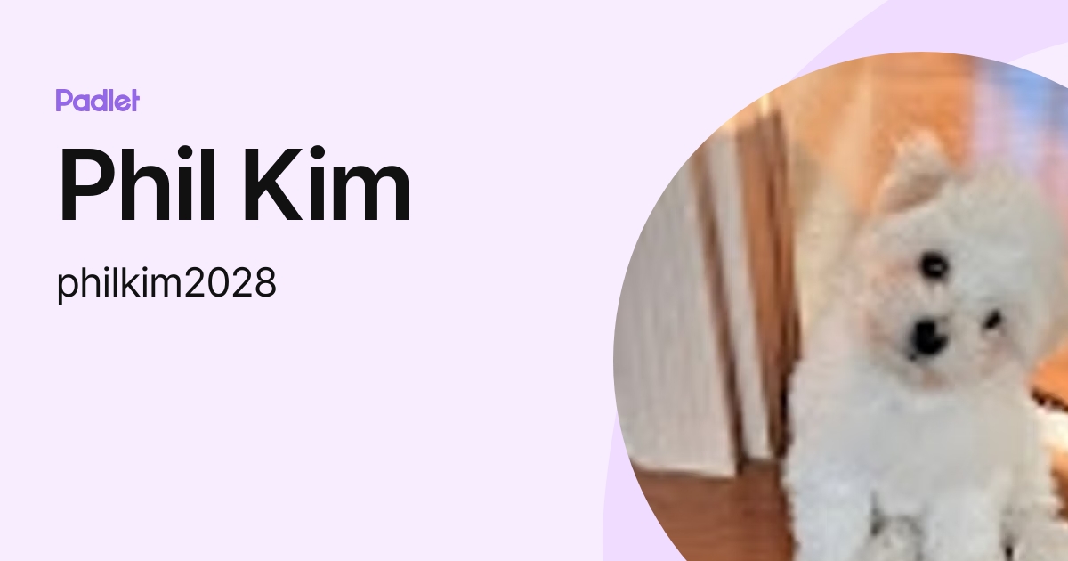 Phil Kim (philkim2028) profile | Padlet