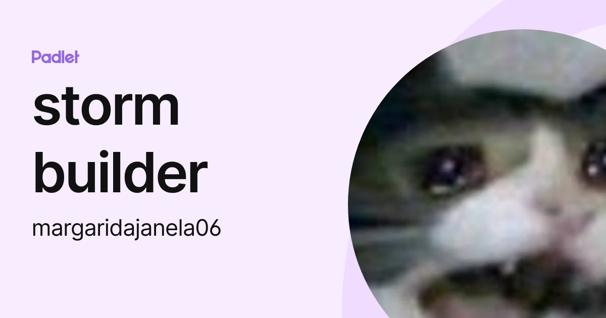 storm builder (margaridajanela06) profile | Padlet