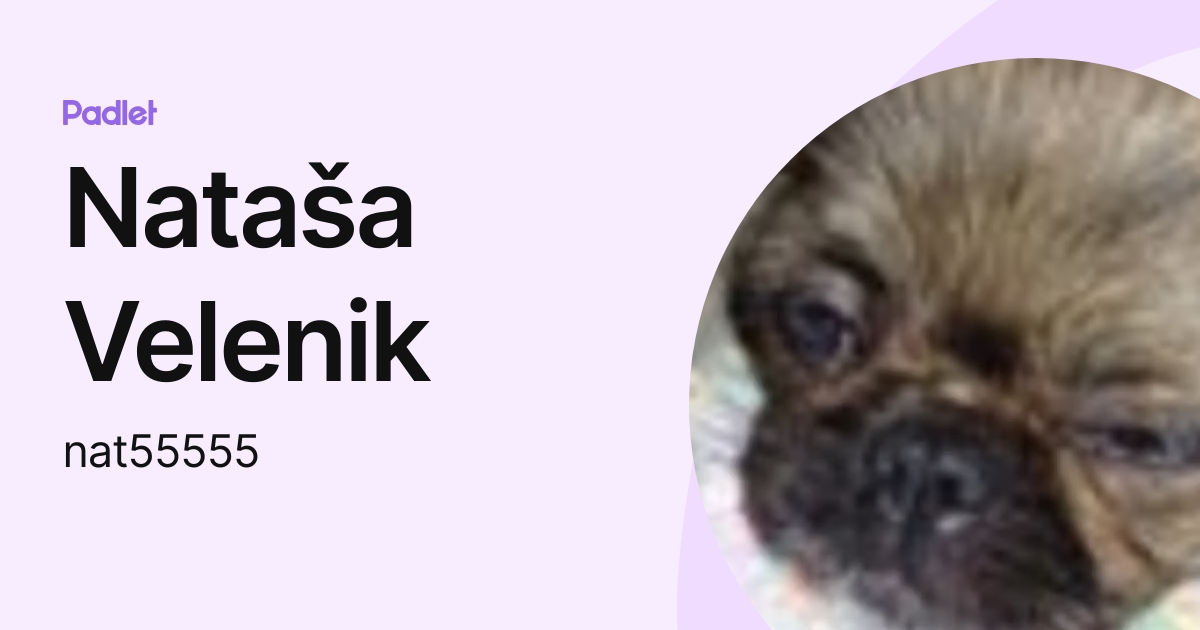 Nataša Velenik (nat55555) profile | Padlet