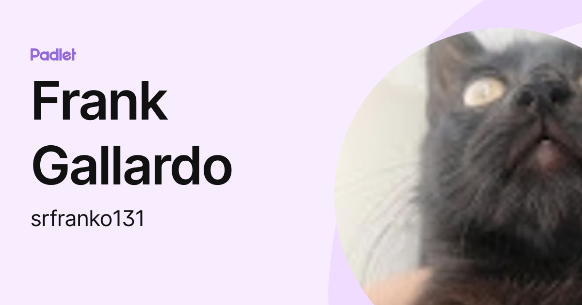 Frank Gallardo (srfranko131) profile | Padlet