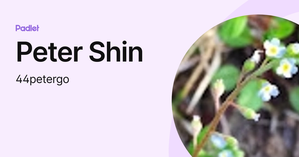 Peter Shin (44petergo) profile | Padlet