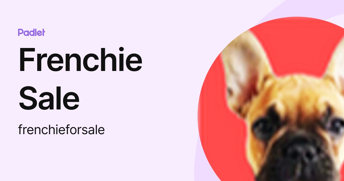 Frenchie Sale (frenchieforsale) profile | Padlet