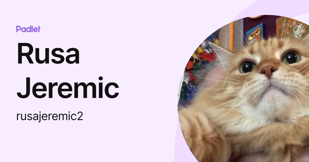 Rusa Jeremic (RusaJ) profile | Padlet
