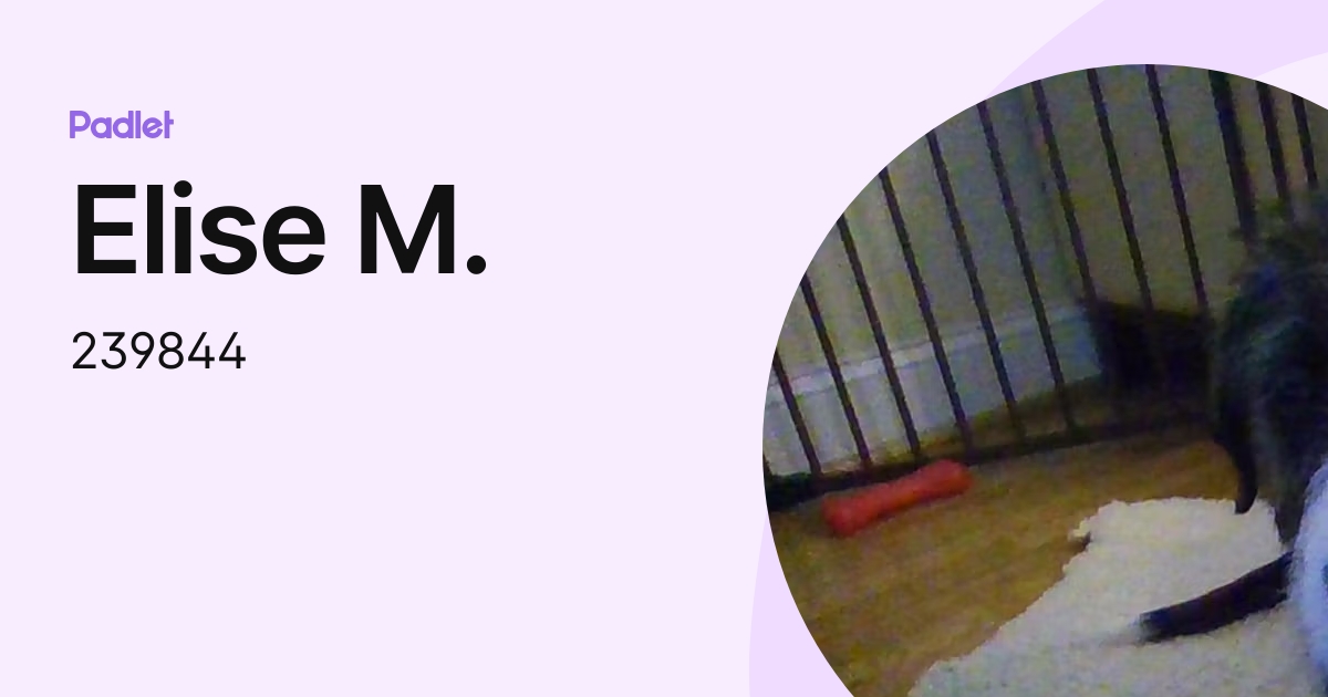 Elise M. (239844) profile | Padlet