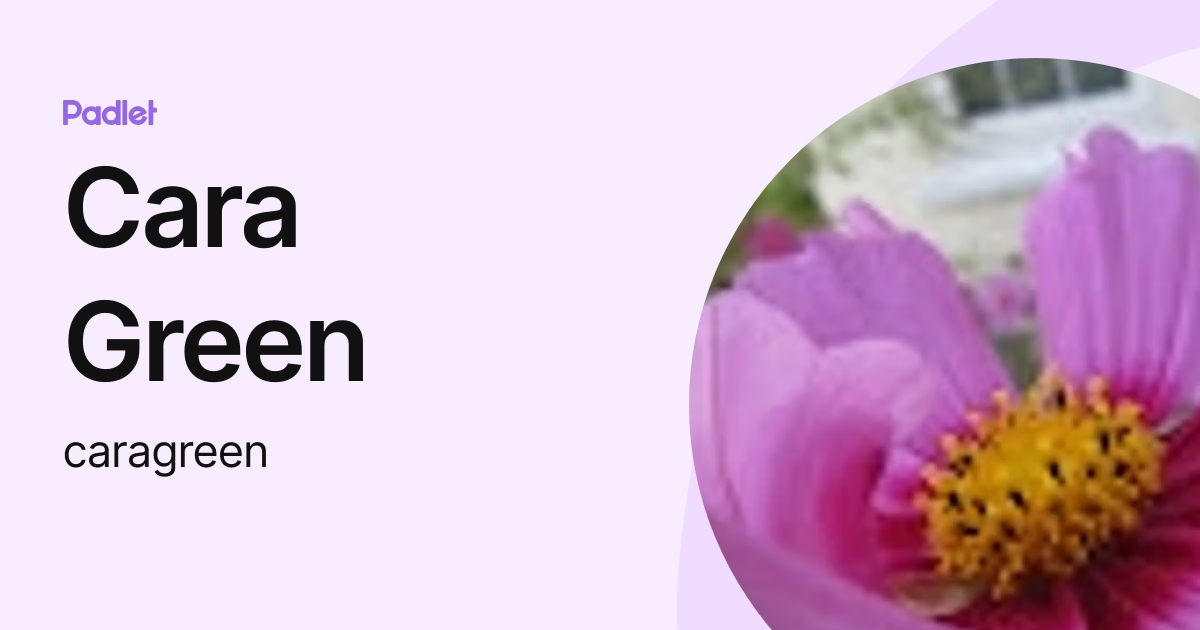 Cara Green (caragreen) profile | Padlet