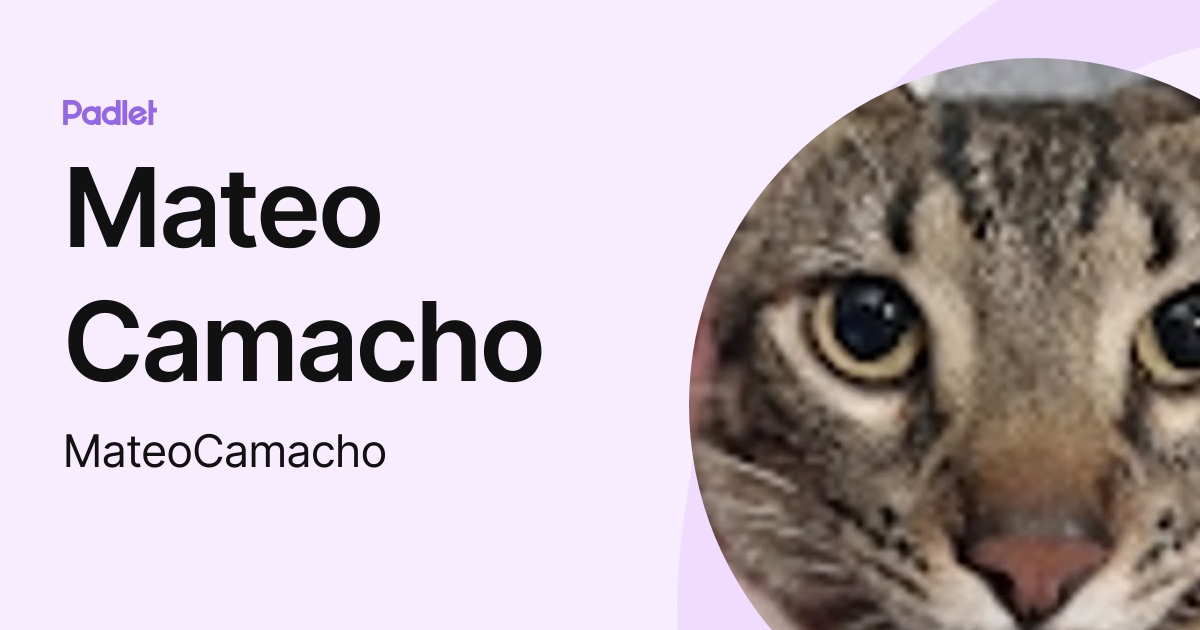 Mateo Camacho (MateoCamacho) profile | Padlet