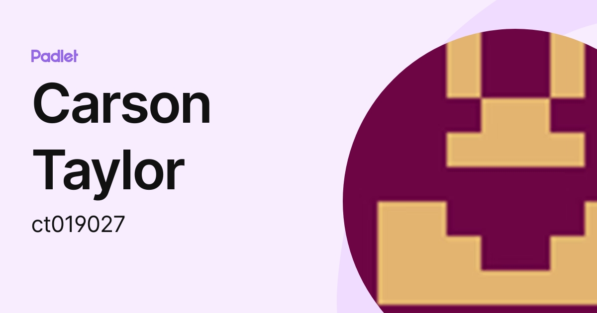 Carson Taylor (ct019027) profile | Padlet