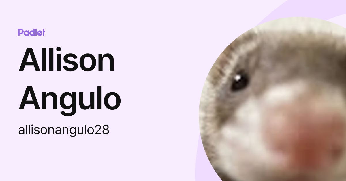Allison Angulo (allisonangulo28) profile | Padlet