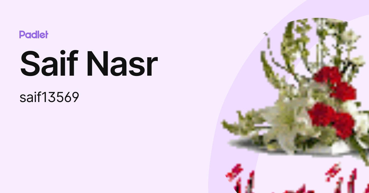 Saif Nasr (saif13569) profile | Padlet