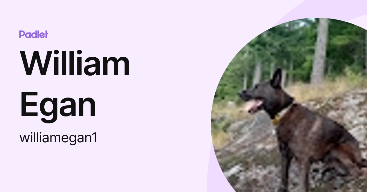William Egan (williamegan1) profile | Padlet