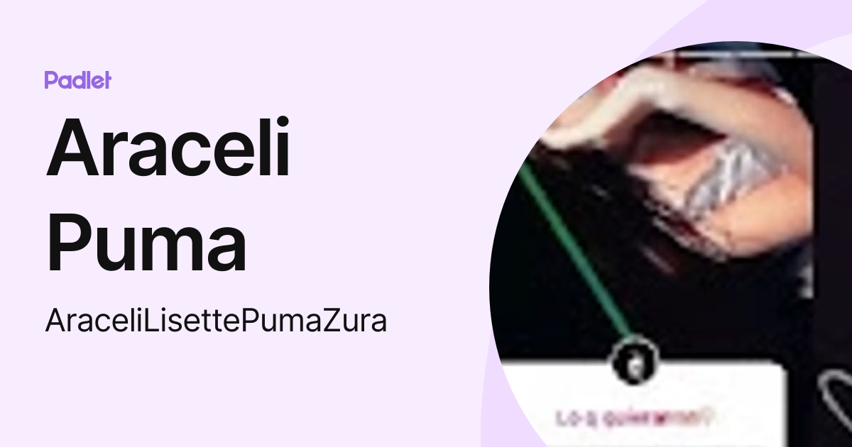 Araceli Puma (AraceliLisettePumaZura) profile | Padlet