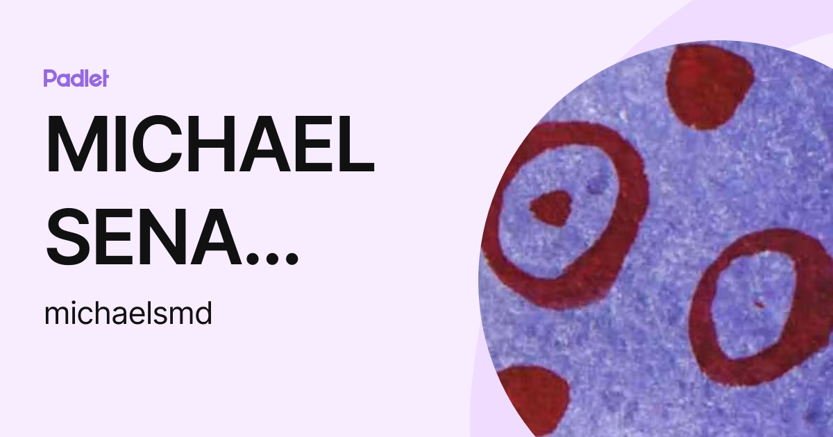 MICHAEL SENA MAXIME DAVODOUN (michaelsmd) profile | Padlet