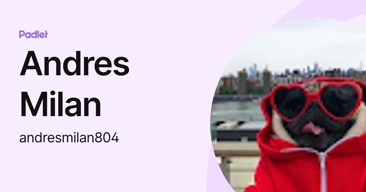 Andres Milan Andresmilan804 Profile Padlet
