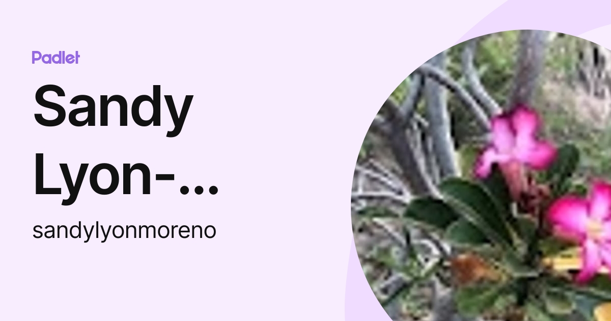 Profil de Sandy Lyon-Moreno (sandylyonmoreno) | Padlet