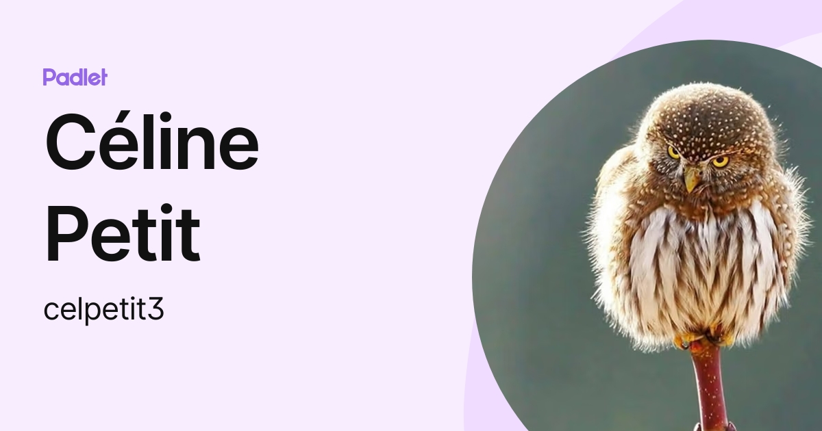 Céline Petit (celpetit3) profile | Padlet