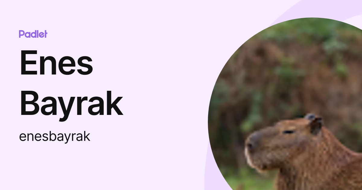 Enes Bayrak (enesbayrak) profile | Padlet