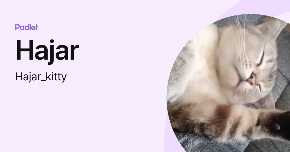 Hajar (Hajar_kitty) profile | Padlet